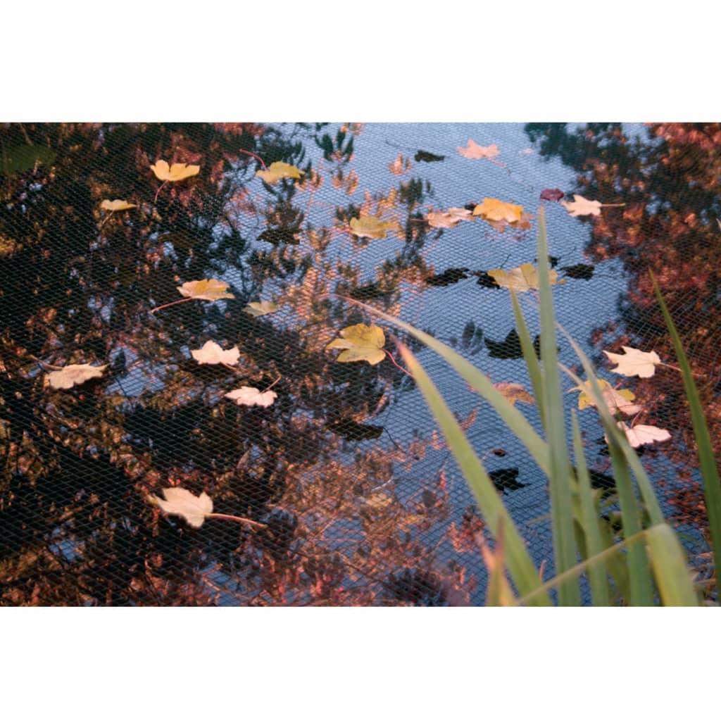 Ubbink Damnett PE 4x6 m 1371344 | vidaXL.no