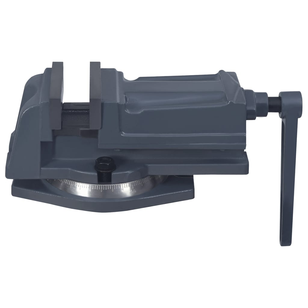 vidaXL Skrustikke med dreieskive støpejern 100 mm | vidaXL.no